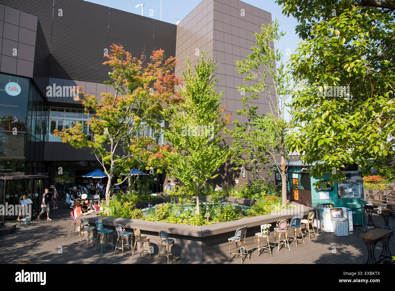 Roof Garden Omohara Forest,Tokyu Plaza,Harajuku,Shibuya-Ku,Tokyo,Japan ...