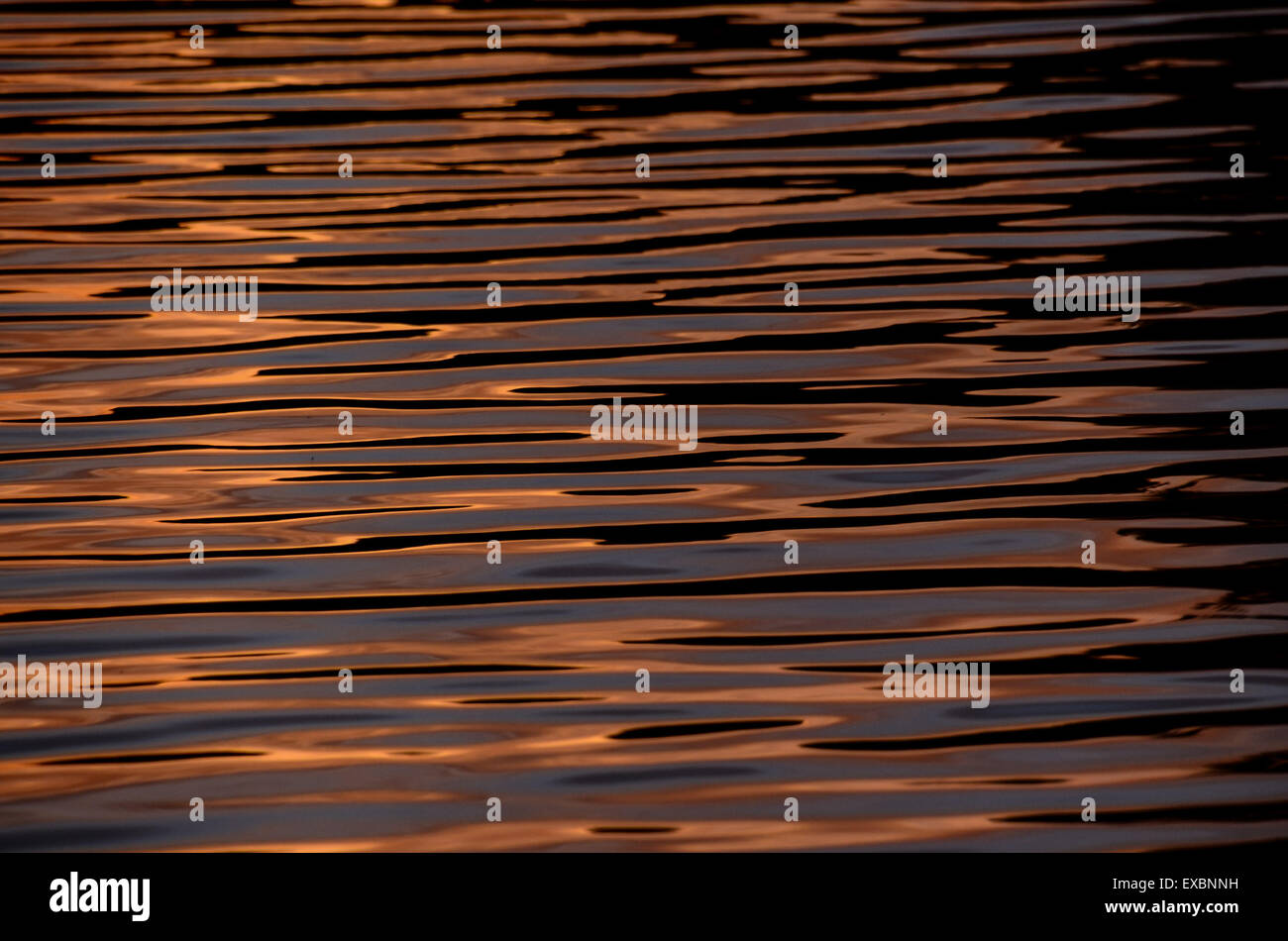 Reflection poo hi-res stock photography and images - Alamy