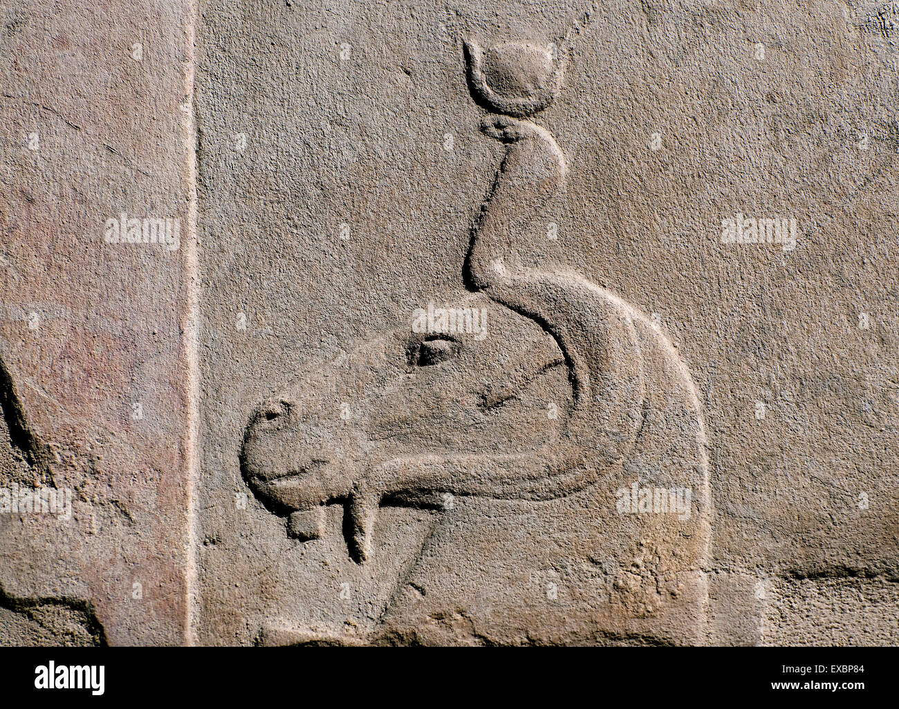 Karnak, Luxor, Egypt. Temple of Karnak sacred to god Amon: a ram head ...