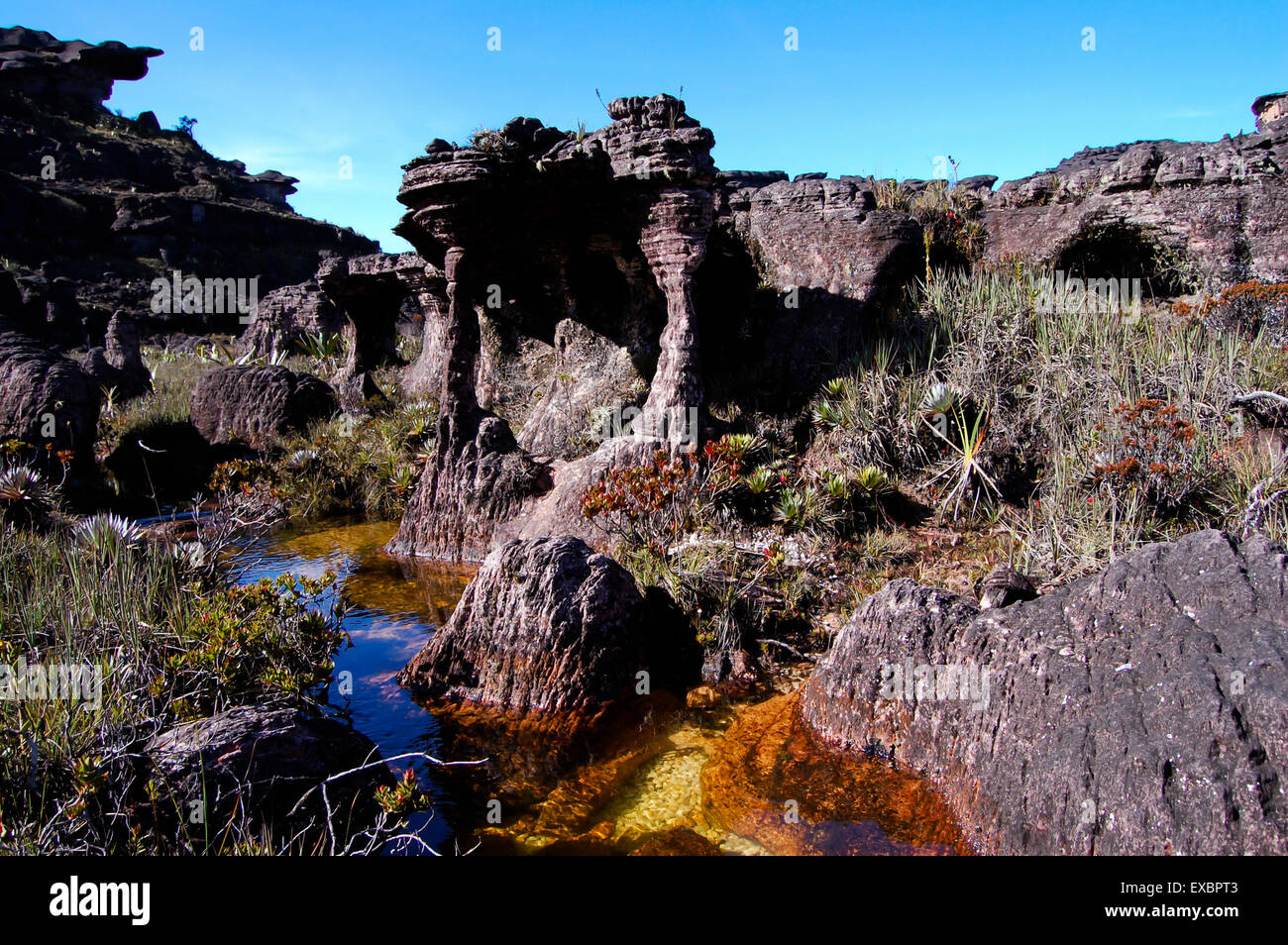 Mount roraima hi-res stock photography and images - Alamy