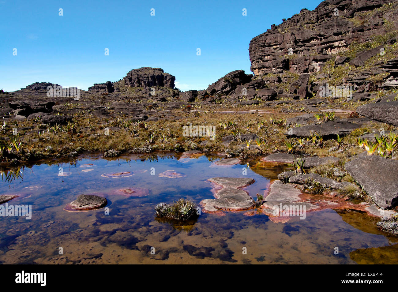Mount roraima hi-res stock photography and images - Alamy