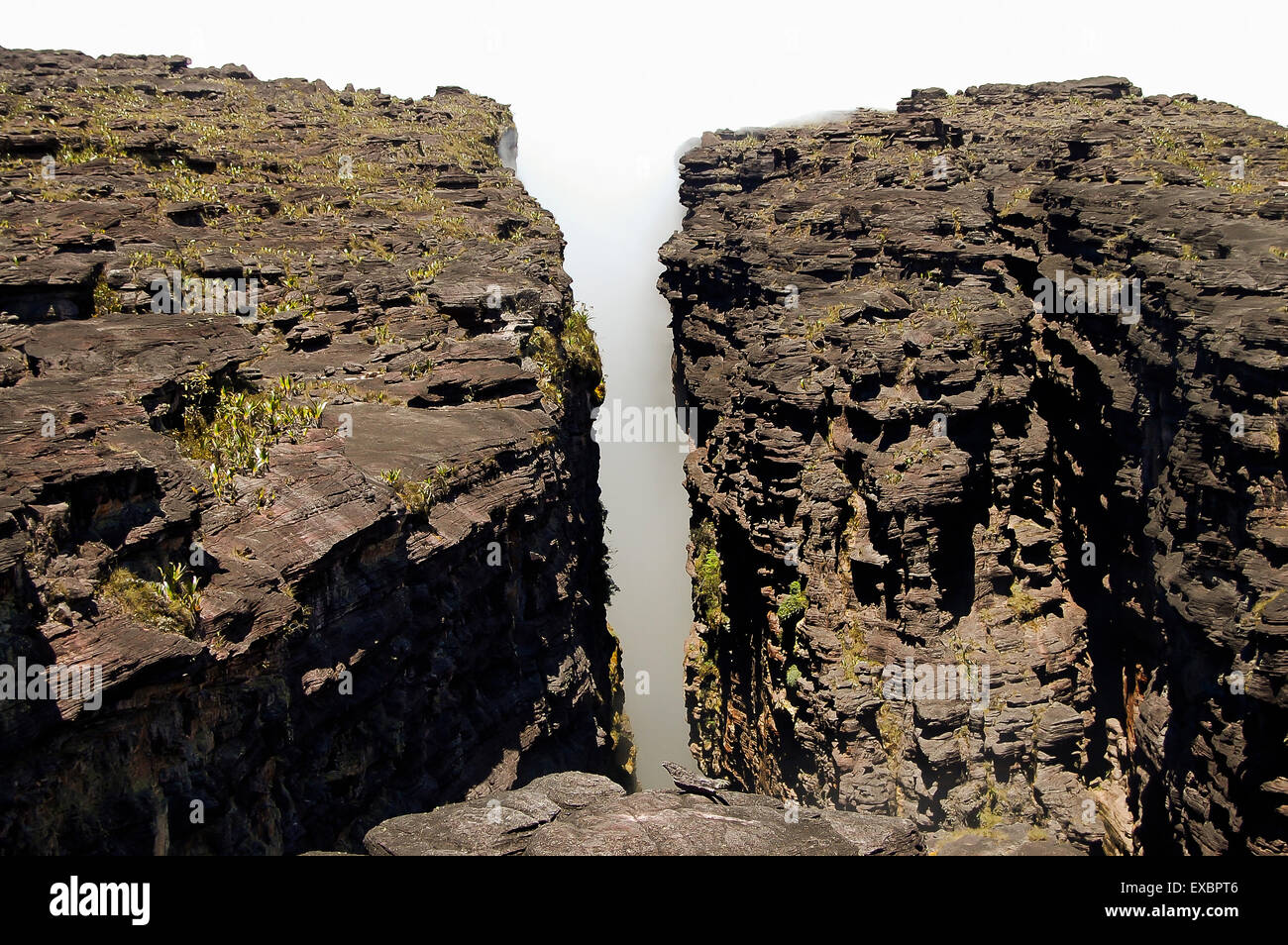 Mount roraima hi-res stock photography and images - Alamy