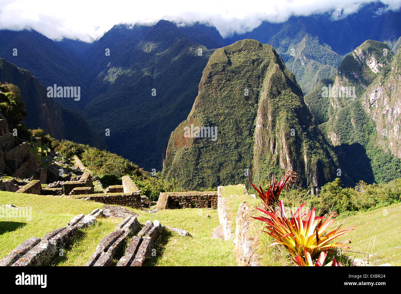 Machu Picchu - Peru Stock Photo - Alamy