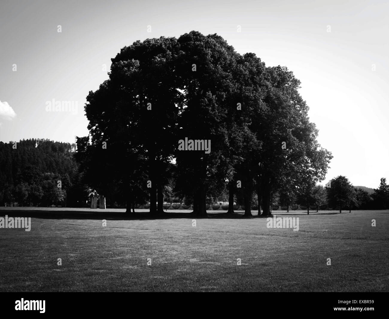 Form about hi-res stock photography and images - Alamy