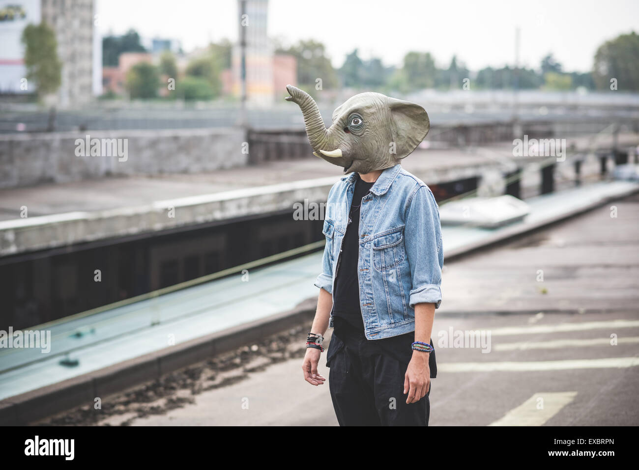 Eccentric elephant hi-res stock photography and images - Alamy