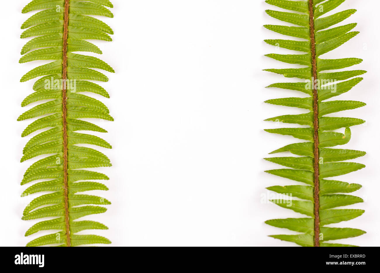 Transform design Cut Out Stock Images & Pictures - Alamy