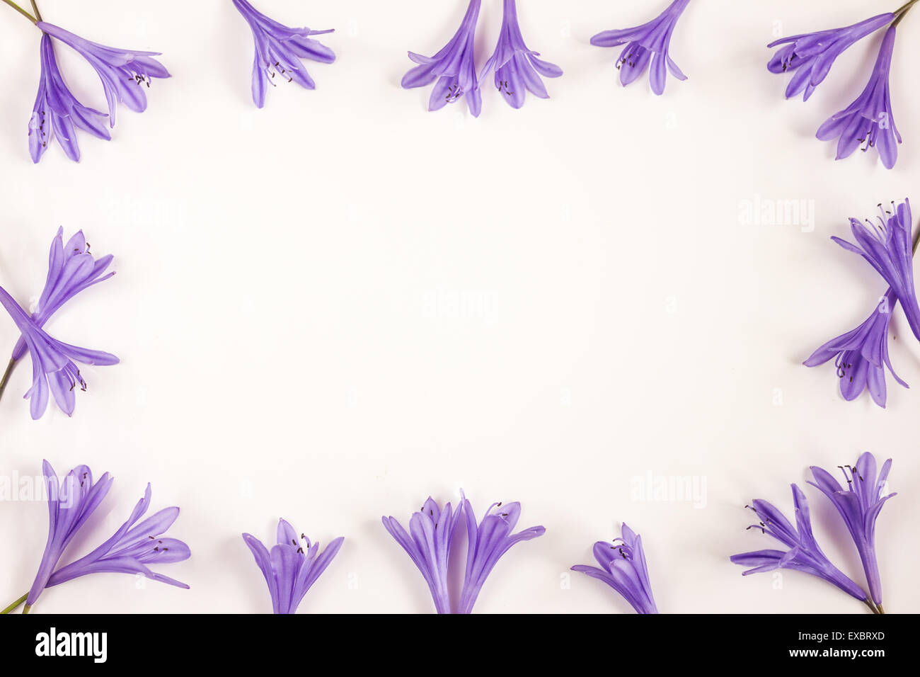 Nature elements creating frame with plain white background. slogan ...