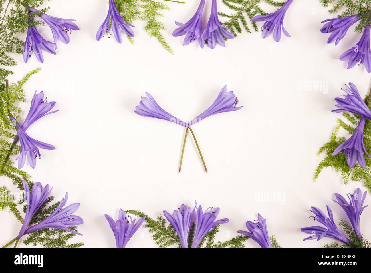 plants forming frame for design Stock Photo - Alamy