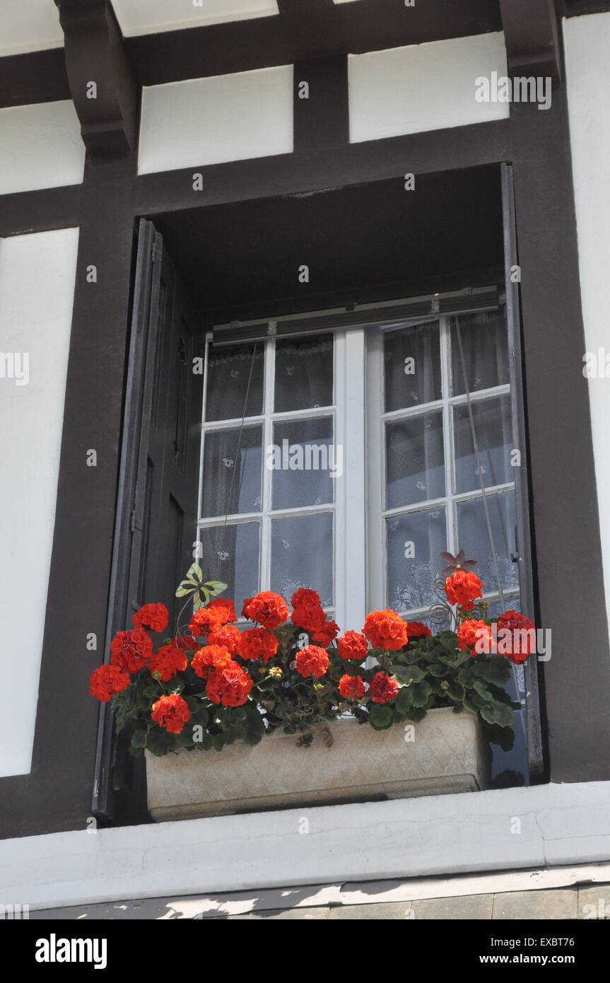 window box france Stock Photo - Alamy