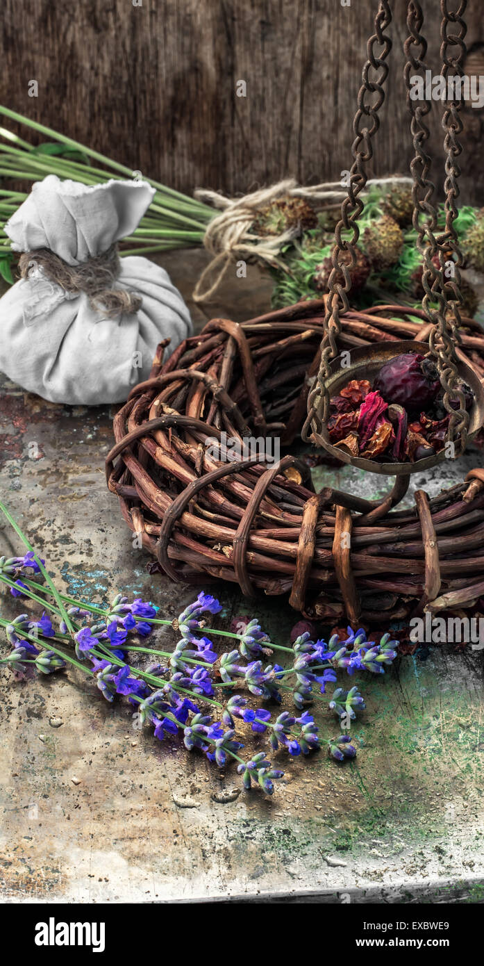 range is collected and dried medicinal herbs and plants for herbalism ...