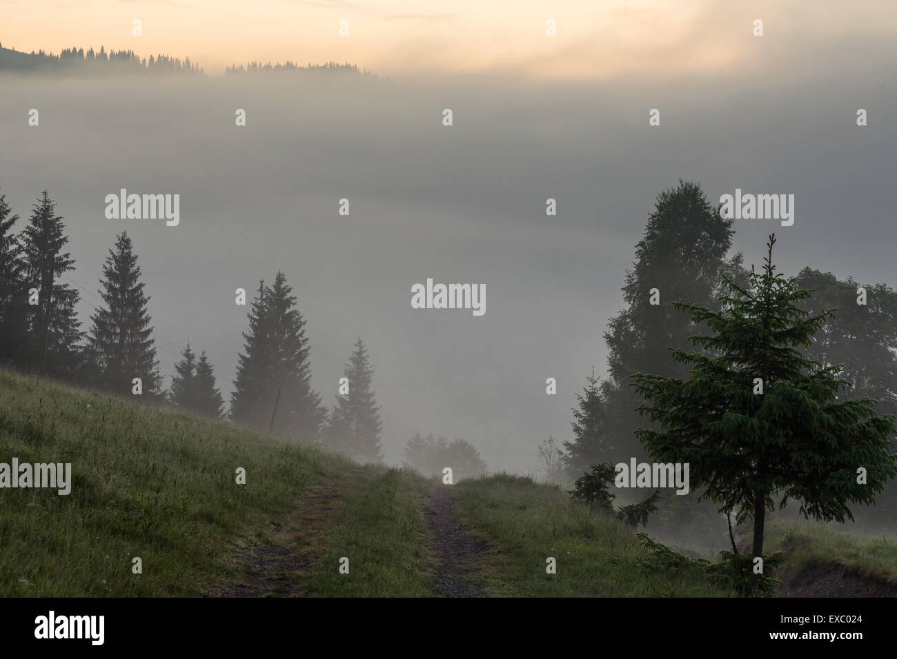 Beautiful sunrise with the morning mist. Ukraine Stock Photo - Alamy