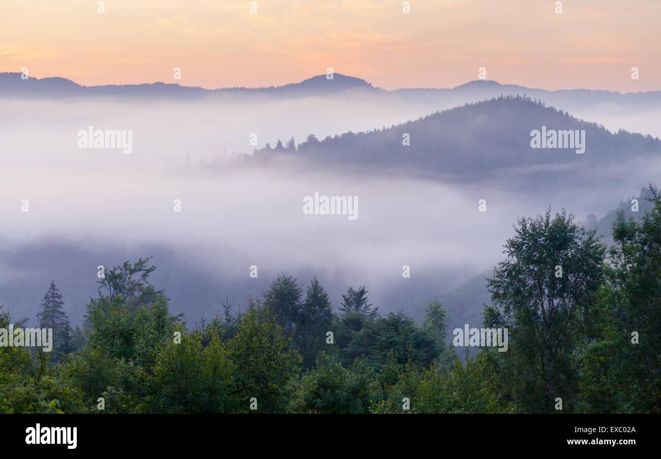 Beautiful sunrise with the morning mist. Ukraine Stock Photo - Alamy