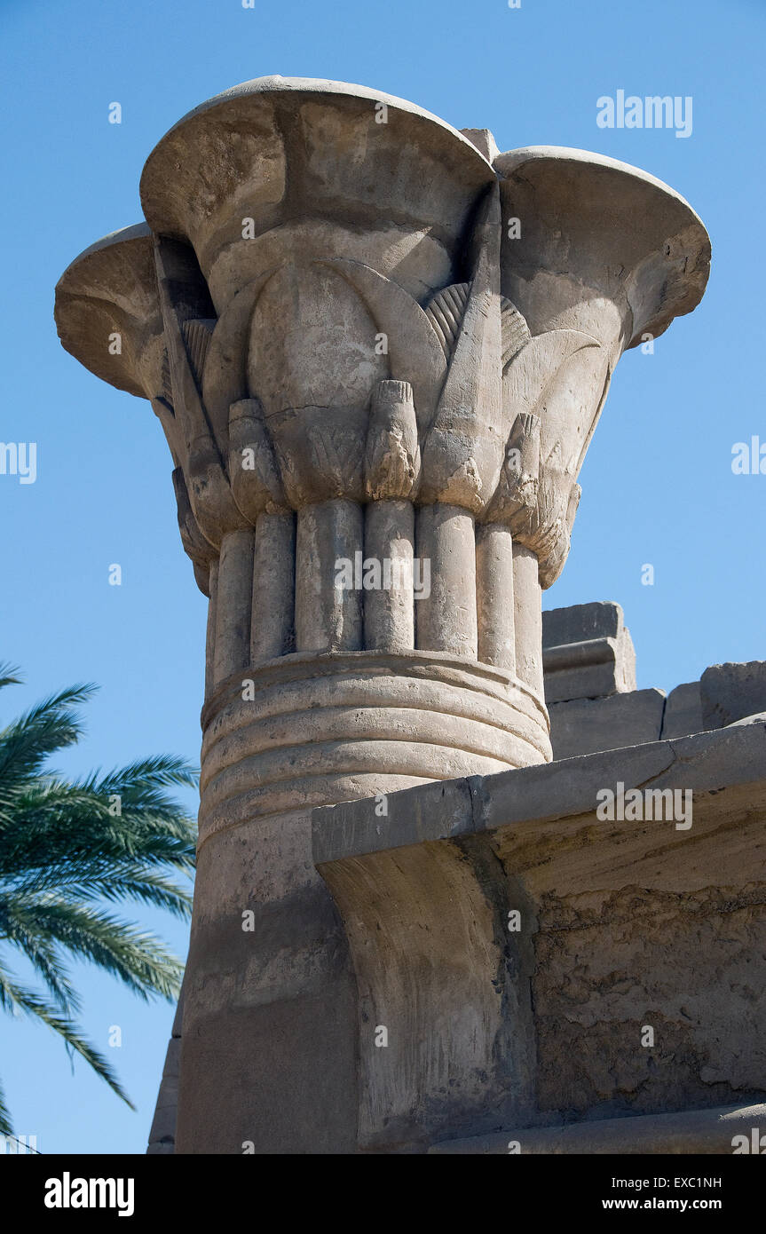 Papyrus capital hi-res stock photography and images - Alamy