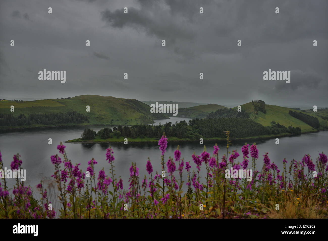 Flora and fauna, landscape hi-res stock photography and images - Alamy
