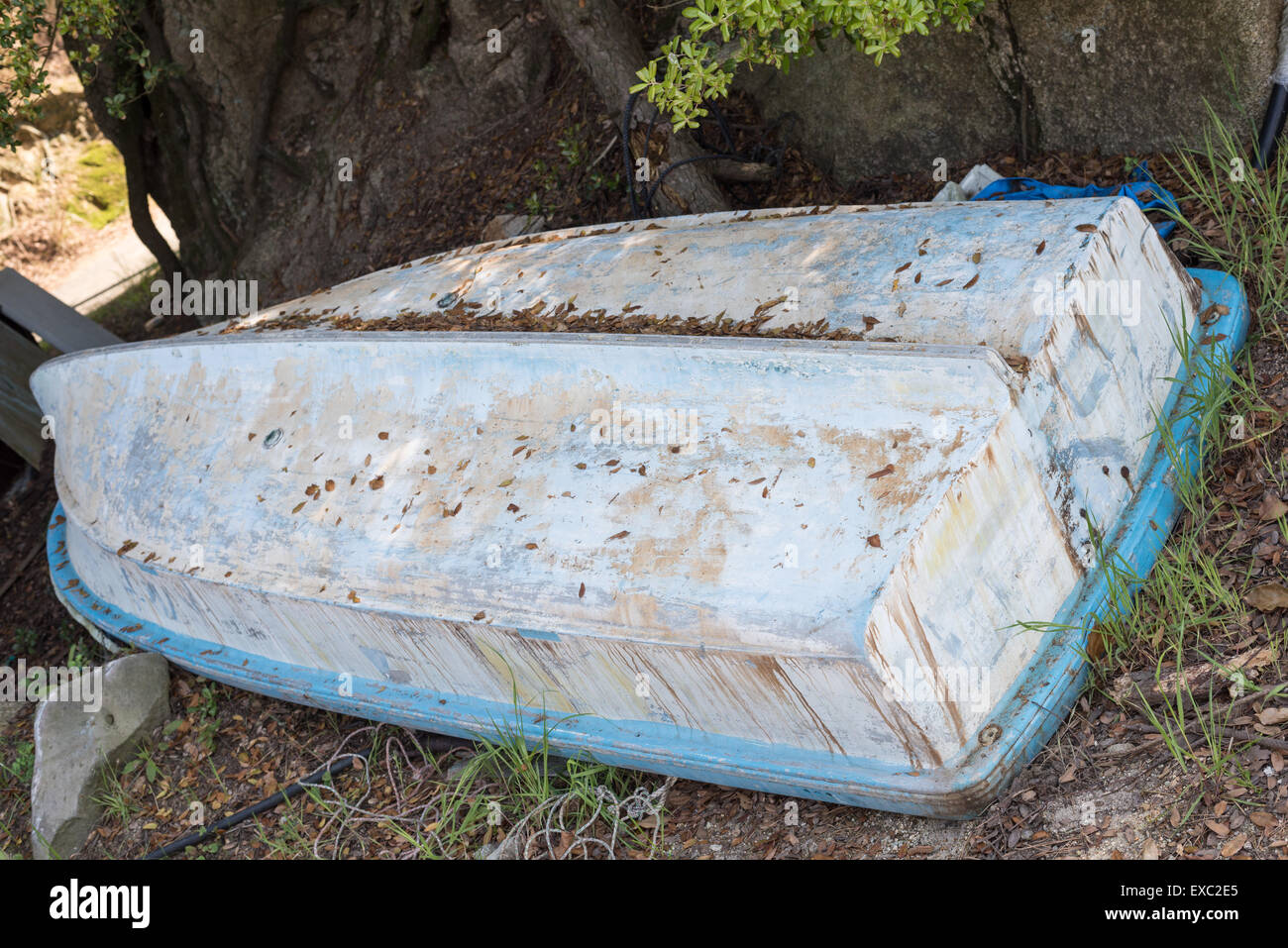 Old abandoned blue hull boat upside down covered of dry leaves near a ...