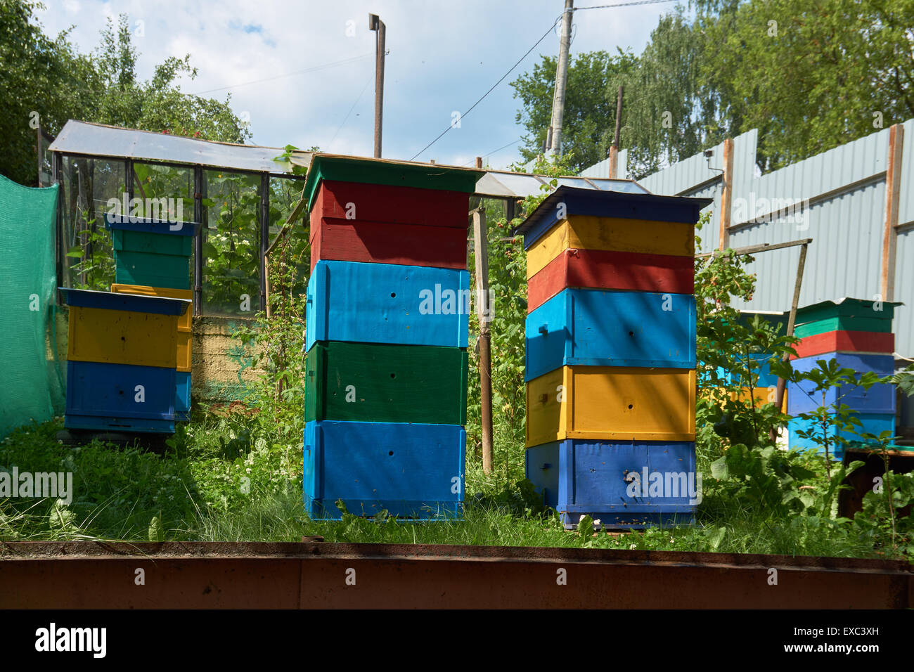 Beehives of various colors serve honey bees to identify their own Stock ...