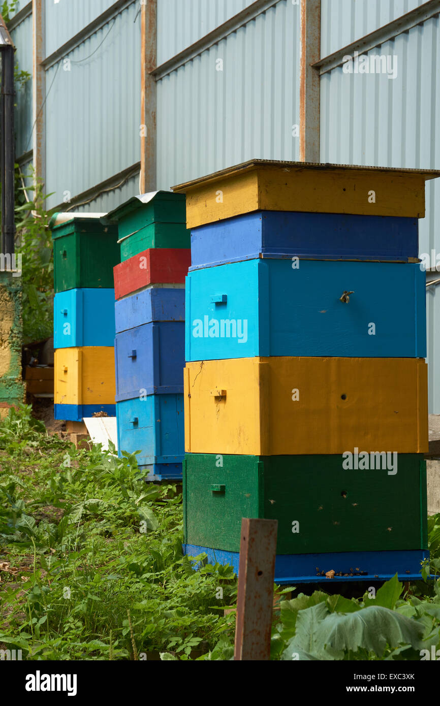 Beehives stand hi-res stock photography and images - Alamy