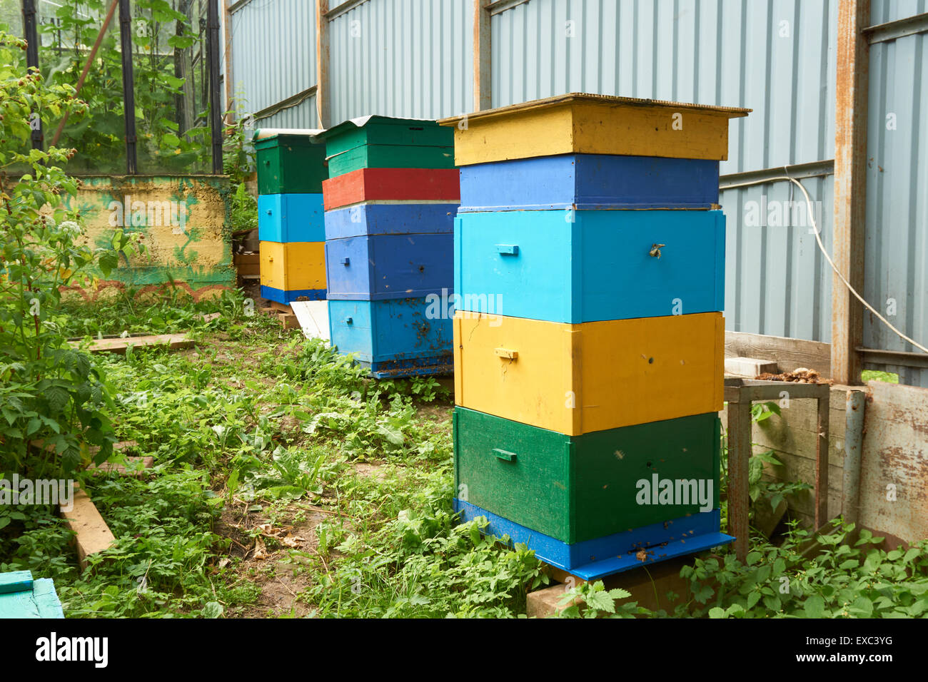 Three beehives with colorful sections for bees to recognize their homes ...