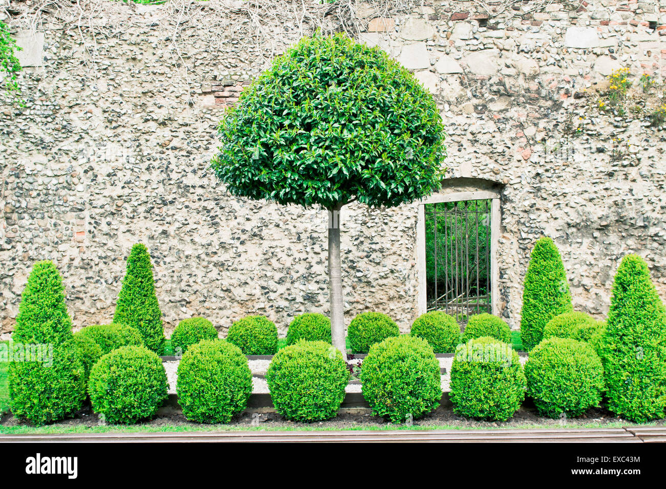 Neat bushes hi-res stock photography and images - Alamy