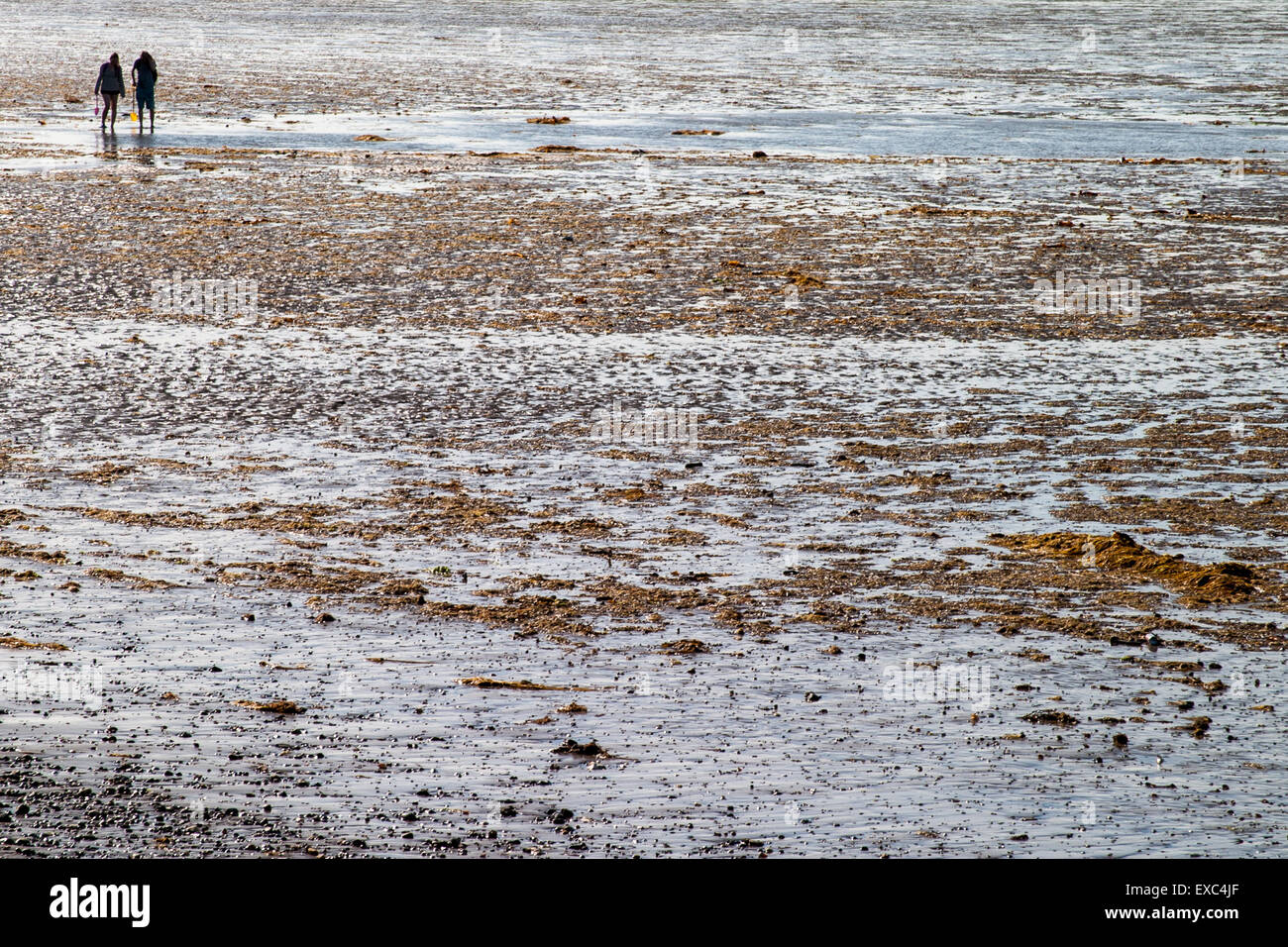 Ryde seafront, The Isle of Wight, UK Stock Photo - Alamy