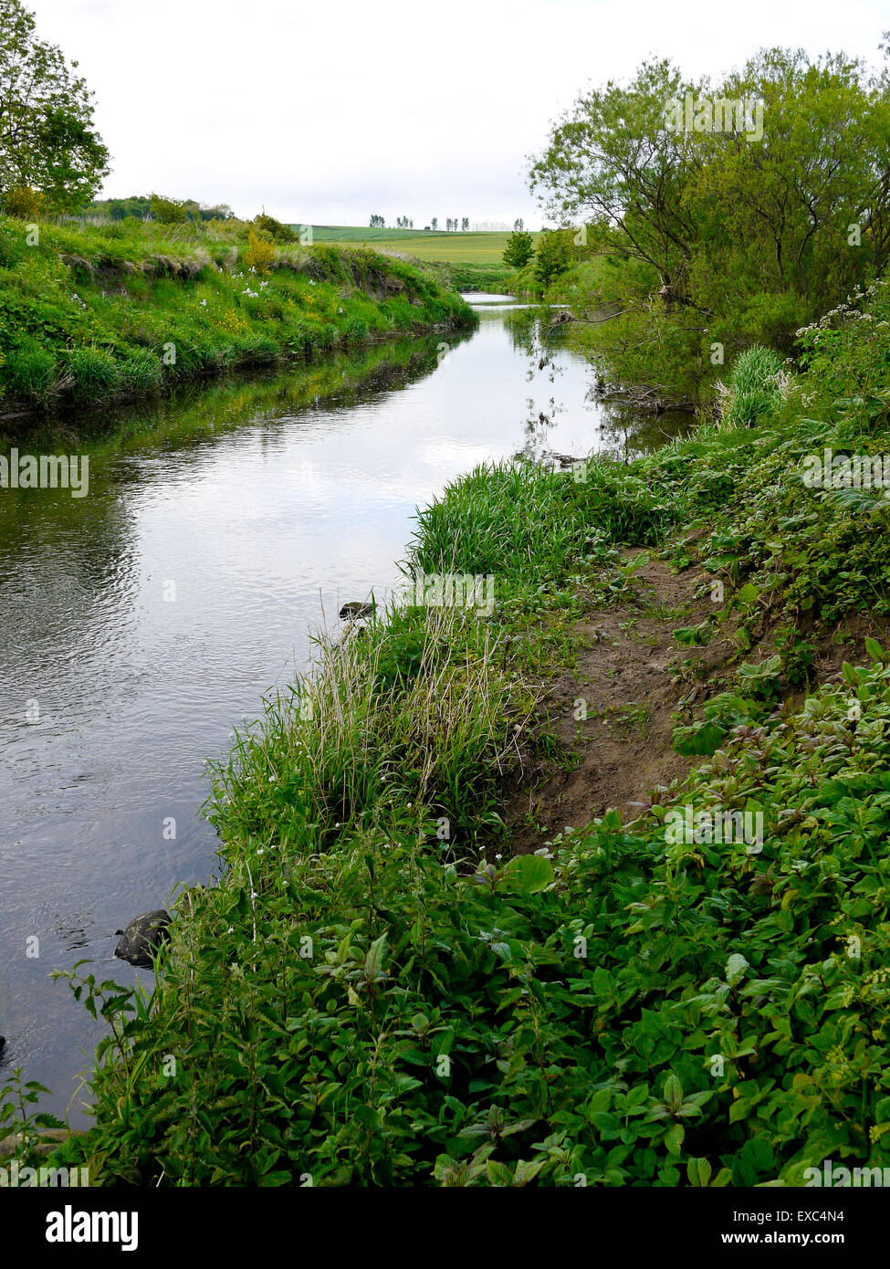 River Almond, Edinburgh, Scotland, UK Stock Photo - Alamy