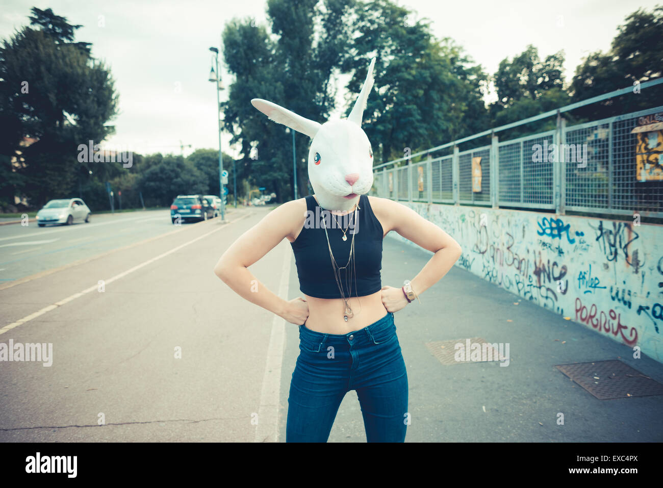 Rock rabbit city hi-res stock photography and images - Alamy