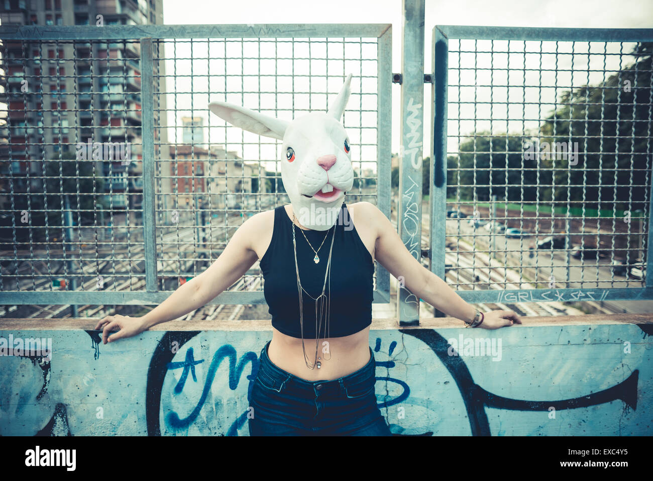 Rock rabbit city hi-res stock photography and images - Alamy