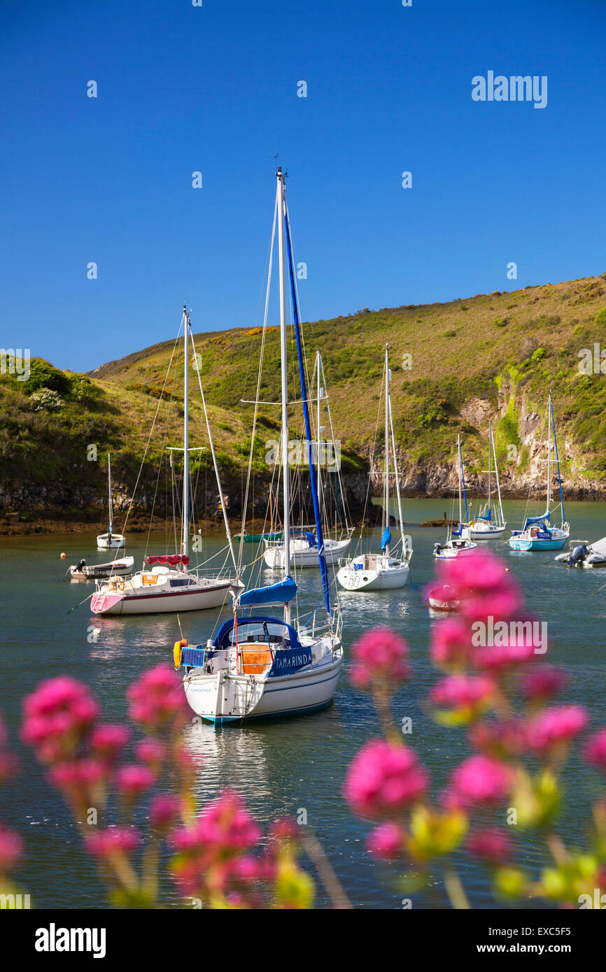 Solva , Pembrokeshire, Wales, U.K Stock Photo - Alamy