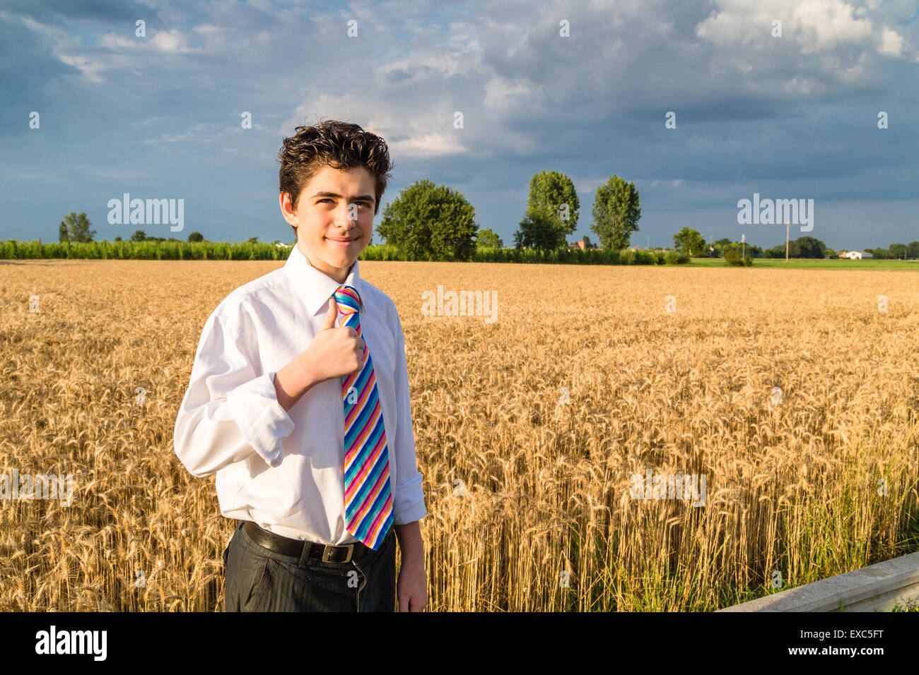 Handsome Caucasian boy wearing a white shirt and a regimental tie with ...