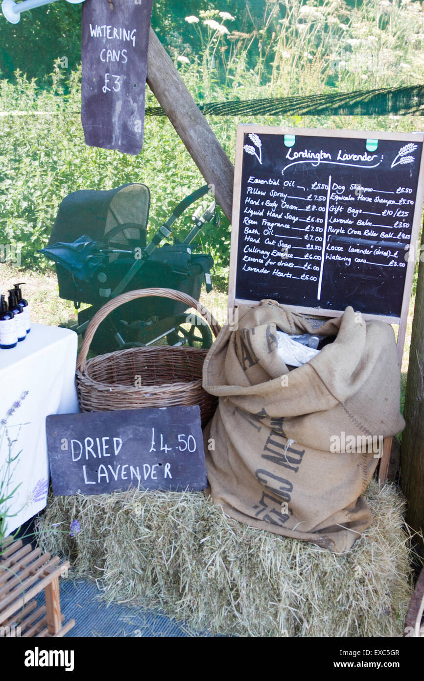 Lordington Lavender Farm, Lordington, Chichester, West Sussex, UK. 10th ...