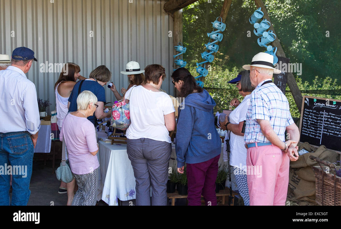 Lordington Lavender Farm, Lordington, Chichester, West Sussex, UK. 10th ...