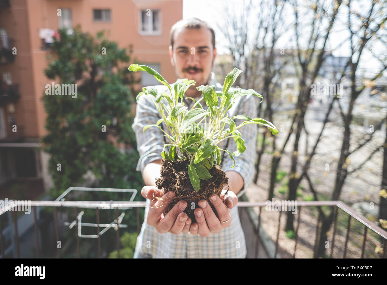 handsome stylish man holding basil plant at home Stock Photo - Alamy