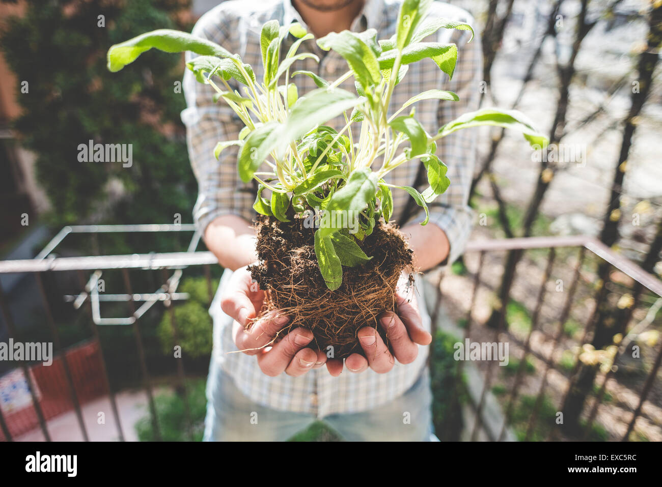 handsome stylish man gardening at home Stock Photo - Alamy