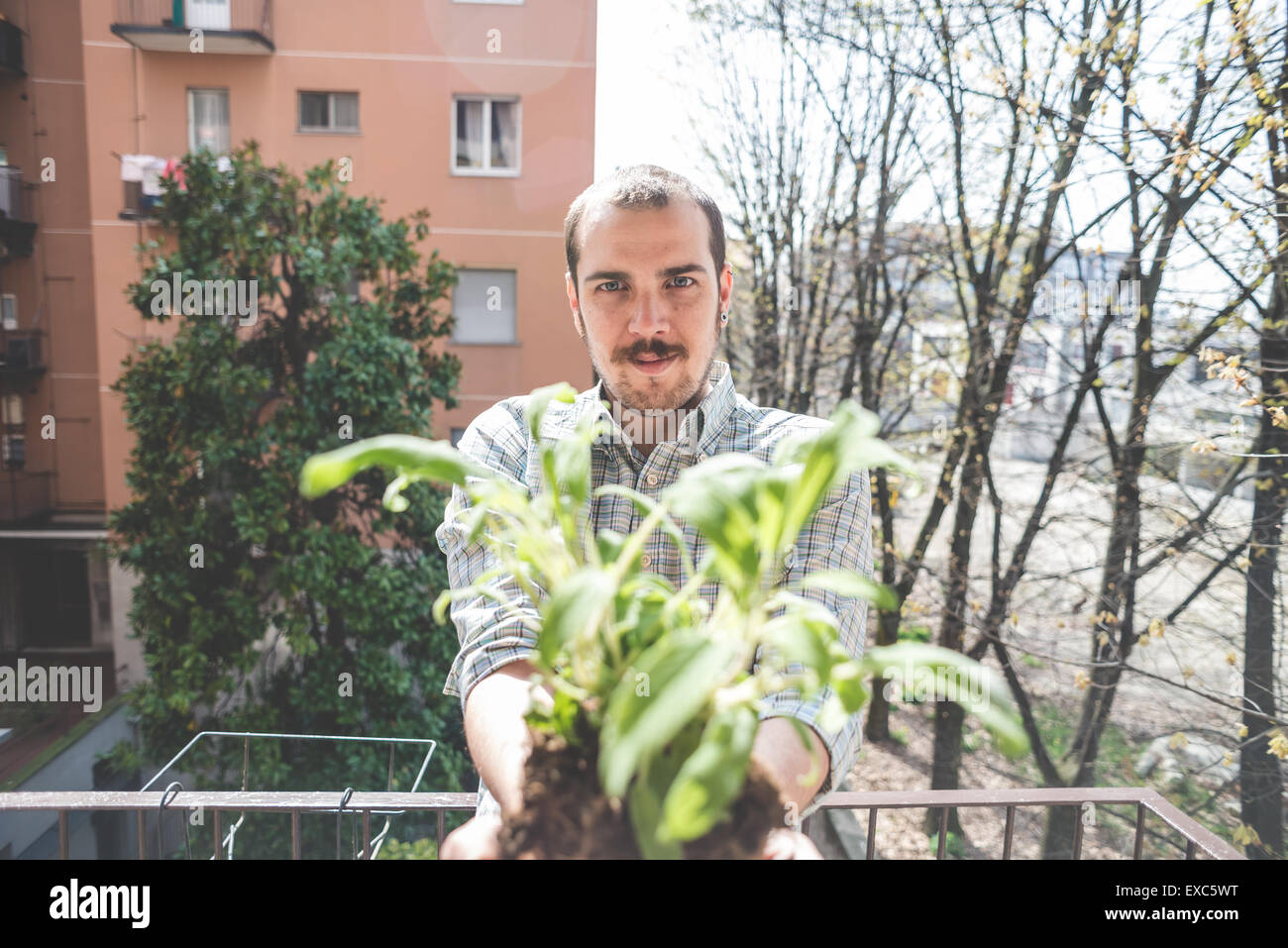 handsome stylish man holding basil plant at home Stock Photo - Alamy