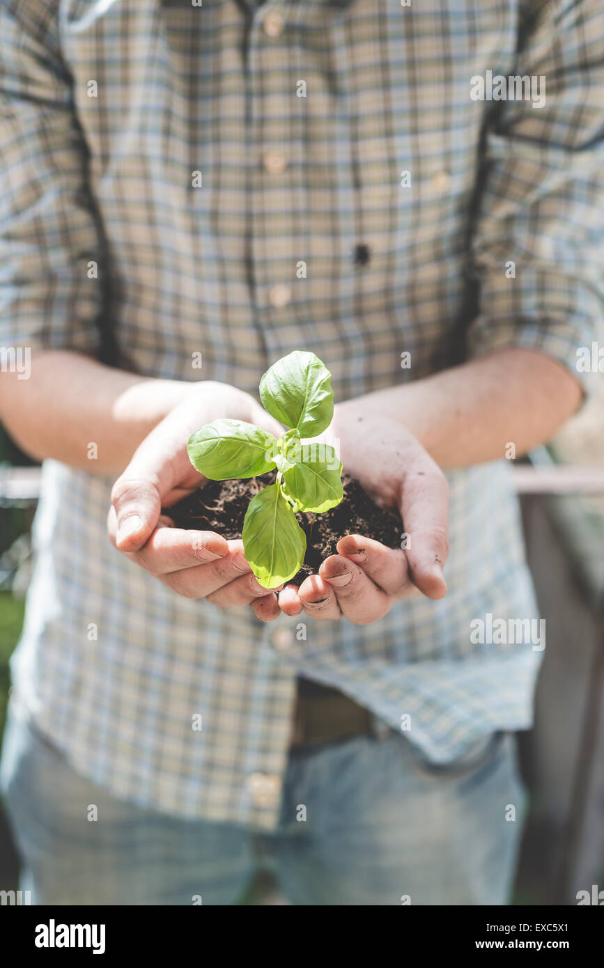 Diverse hands holding plants hi-res stock photography and images - Alamy