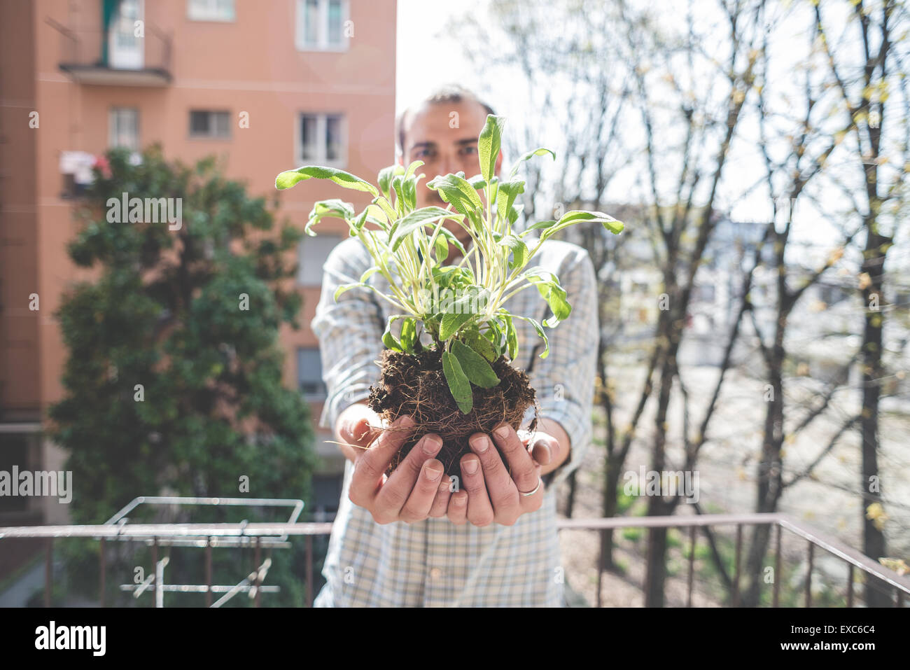 handsome stylish man holding basil plant at home Stock Photo - Alamy