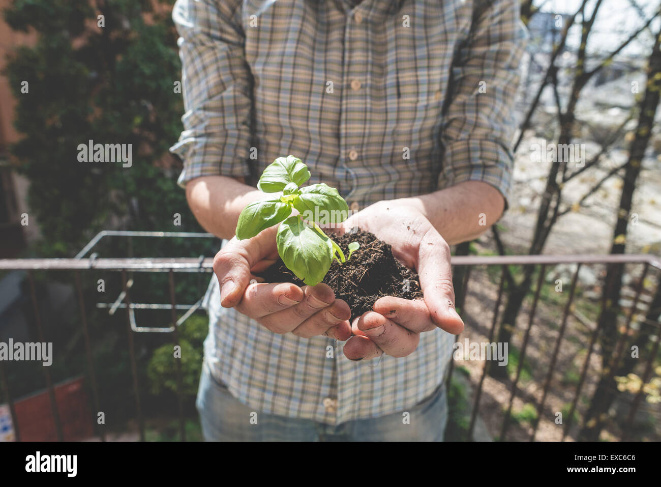 Diverse hands holding plants hi-res stock photography and images - Alamy