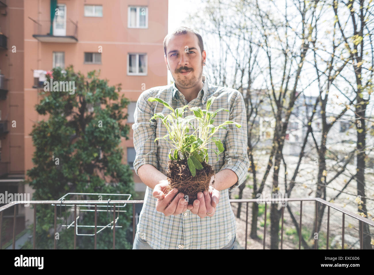 handsome stylish man holding basil plant at home Stock Photo - Alamy
