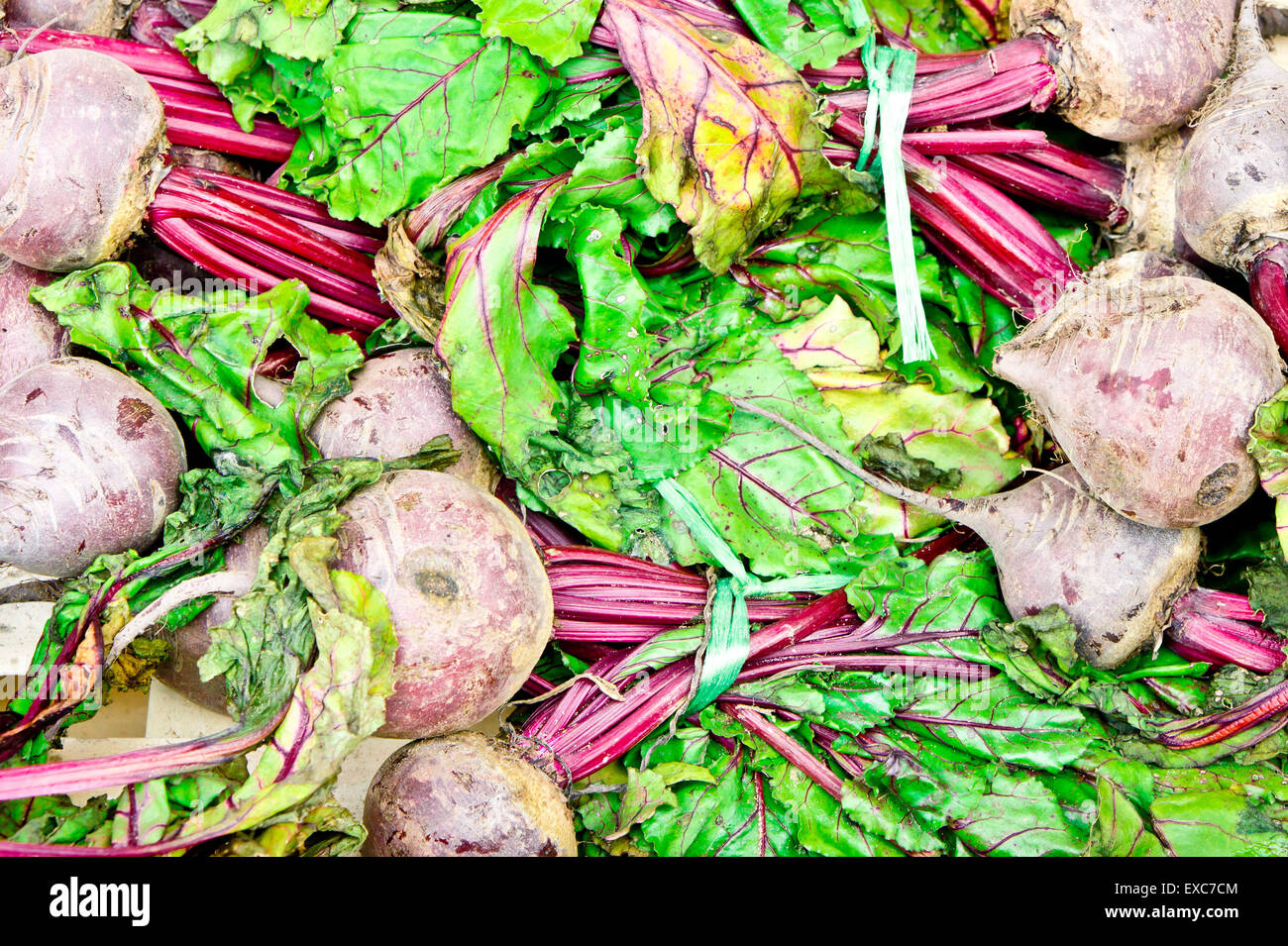 Freshly harvested beetroot in a crate Stock Photo - Alamy