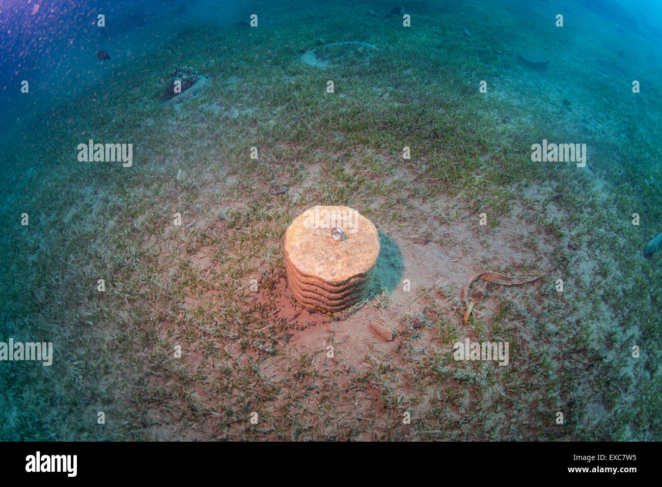 Fish corral hi-res stock photography and images - Alamy