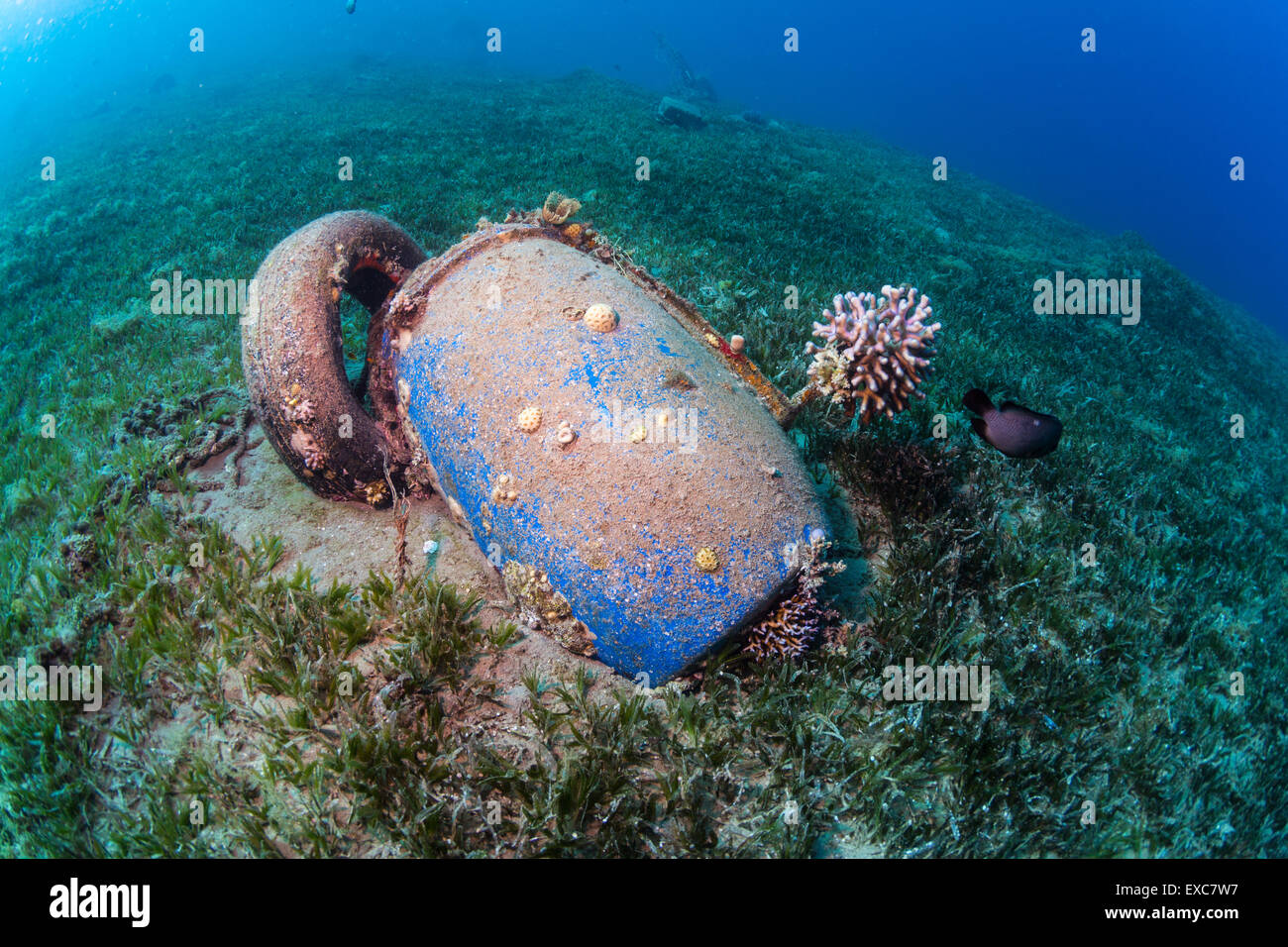 Fish corral hi-res stock photography and images - Alamy