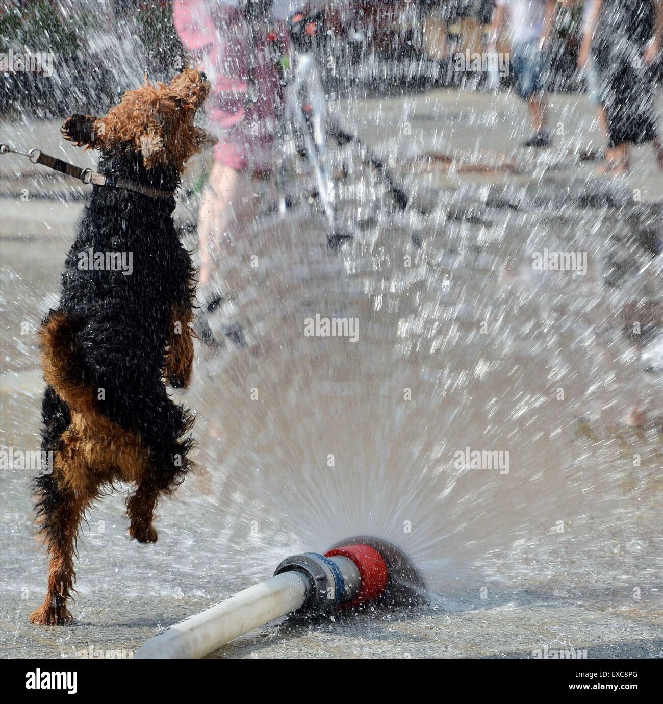 Jumping in water hi-res stock photography and images - Alamy