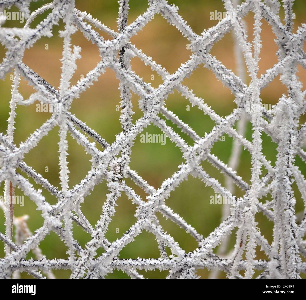 ice covering a frozen metal fence Stock Photo - Alamy
