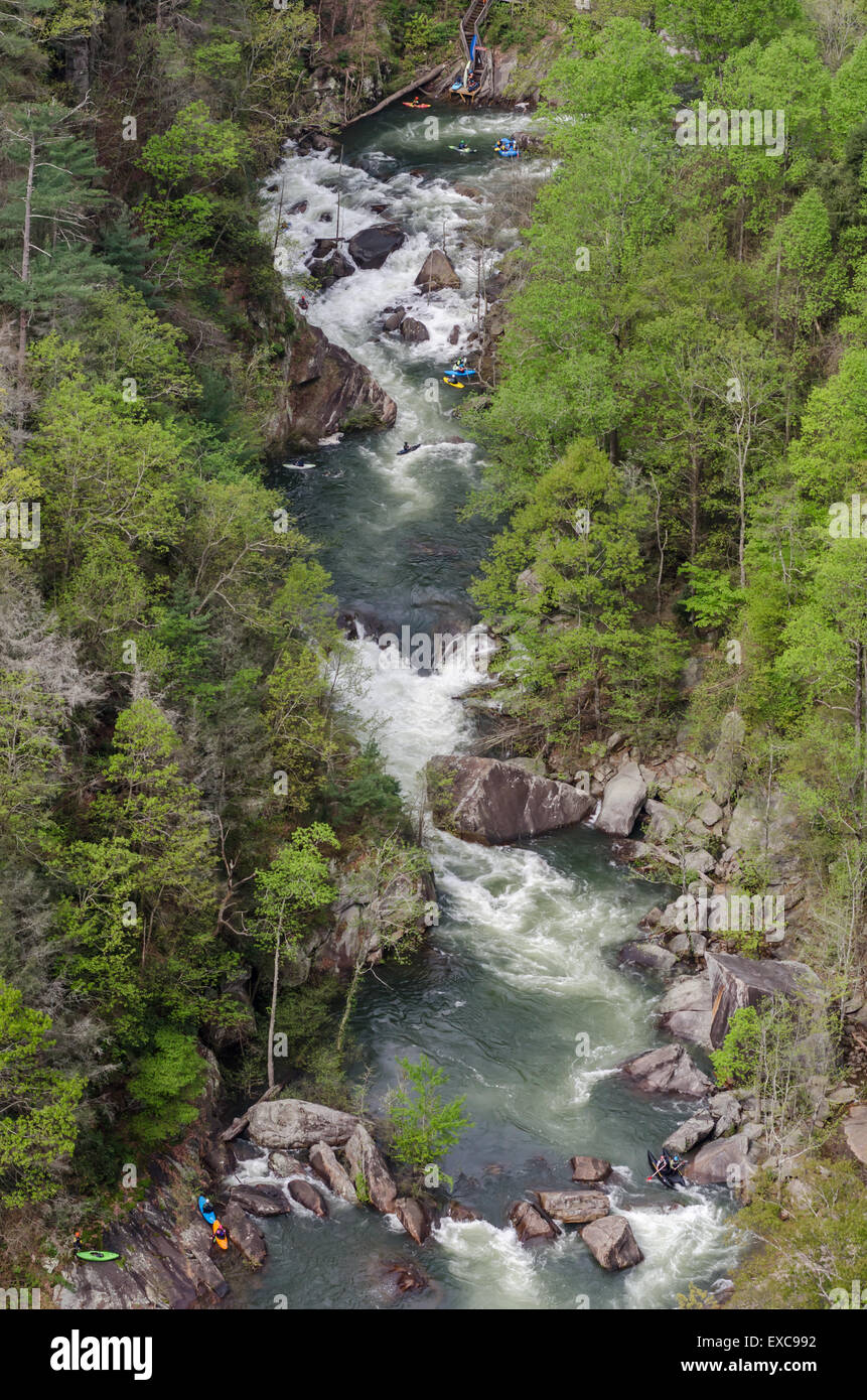 Toccoa hi-res stock photography and images - Alamy