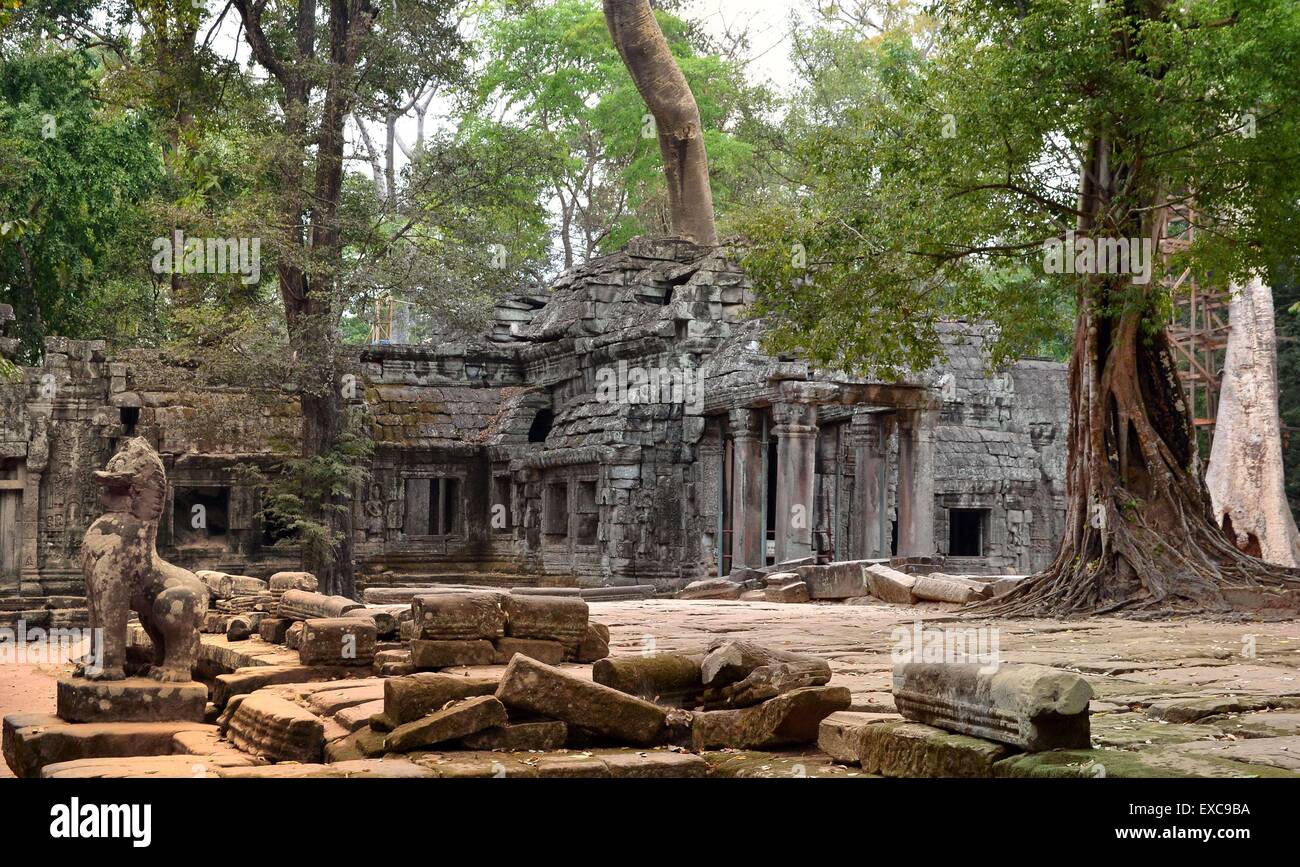 Ta Prohm Angkor Wat Cambodia Stock Photo - Alamy