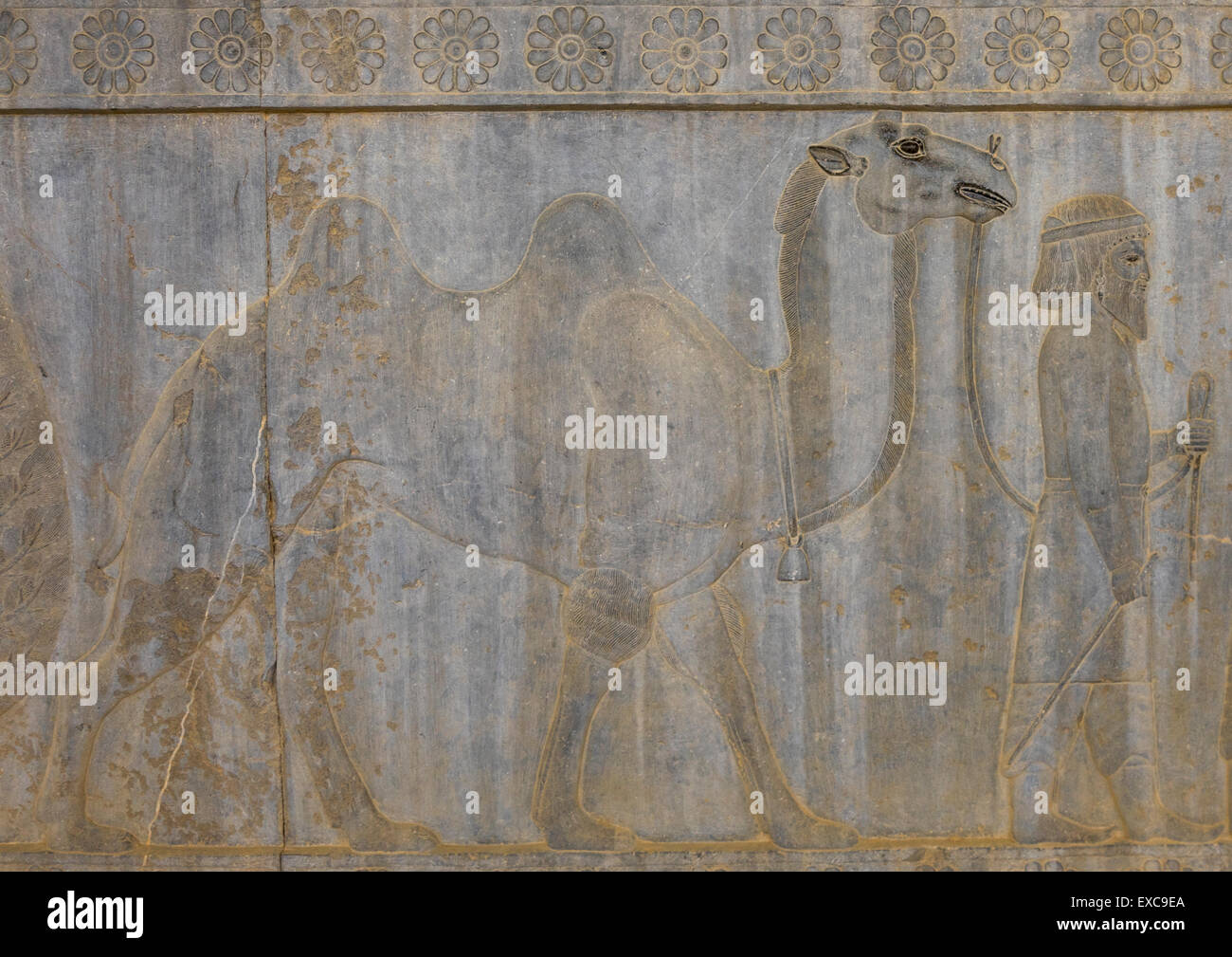 Carved Bas Reliefs Of A Man And His Camel, Fars Province, Persepolis ...