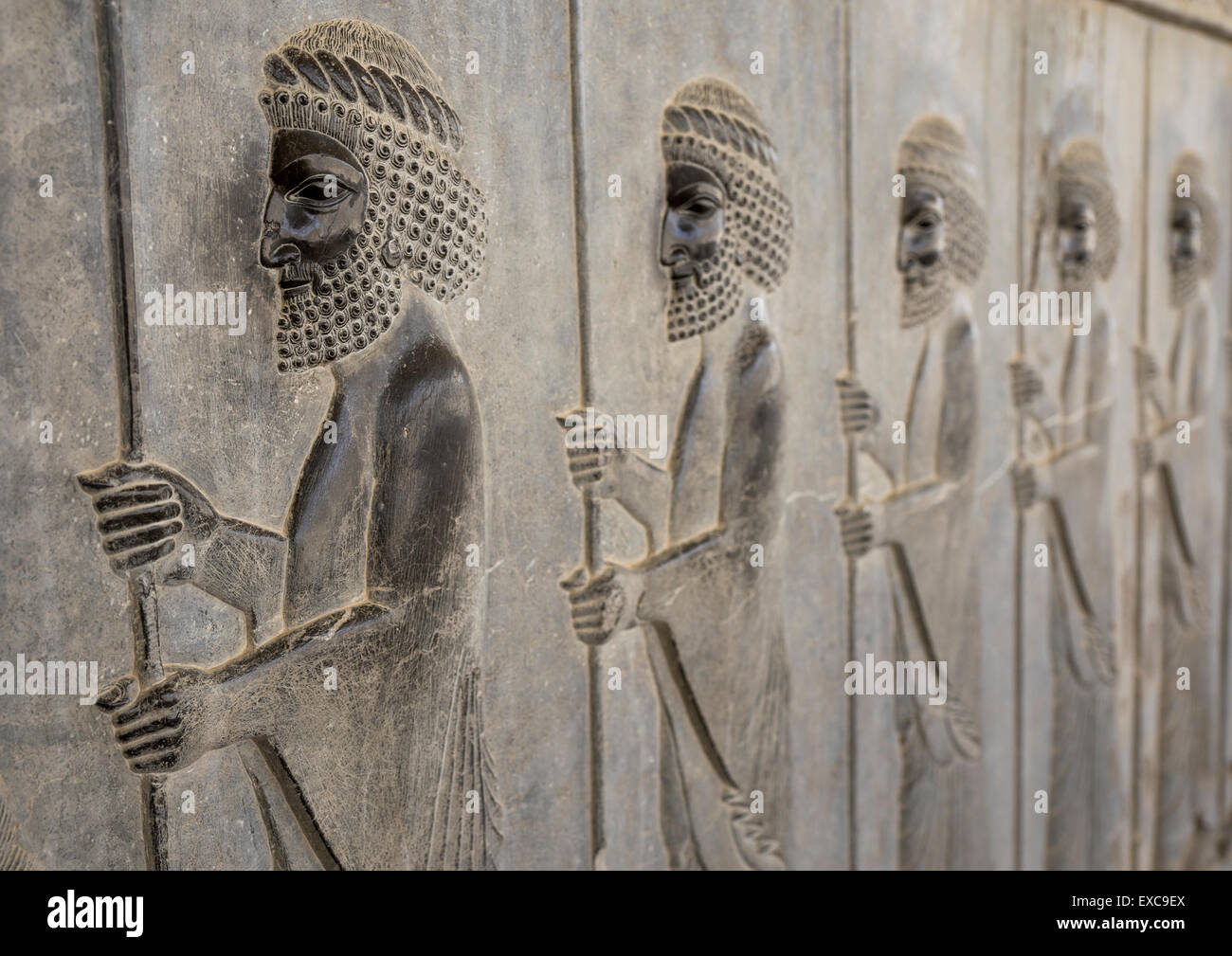 Persepolis relief guards hi-res stock photography and images - Alamy