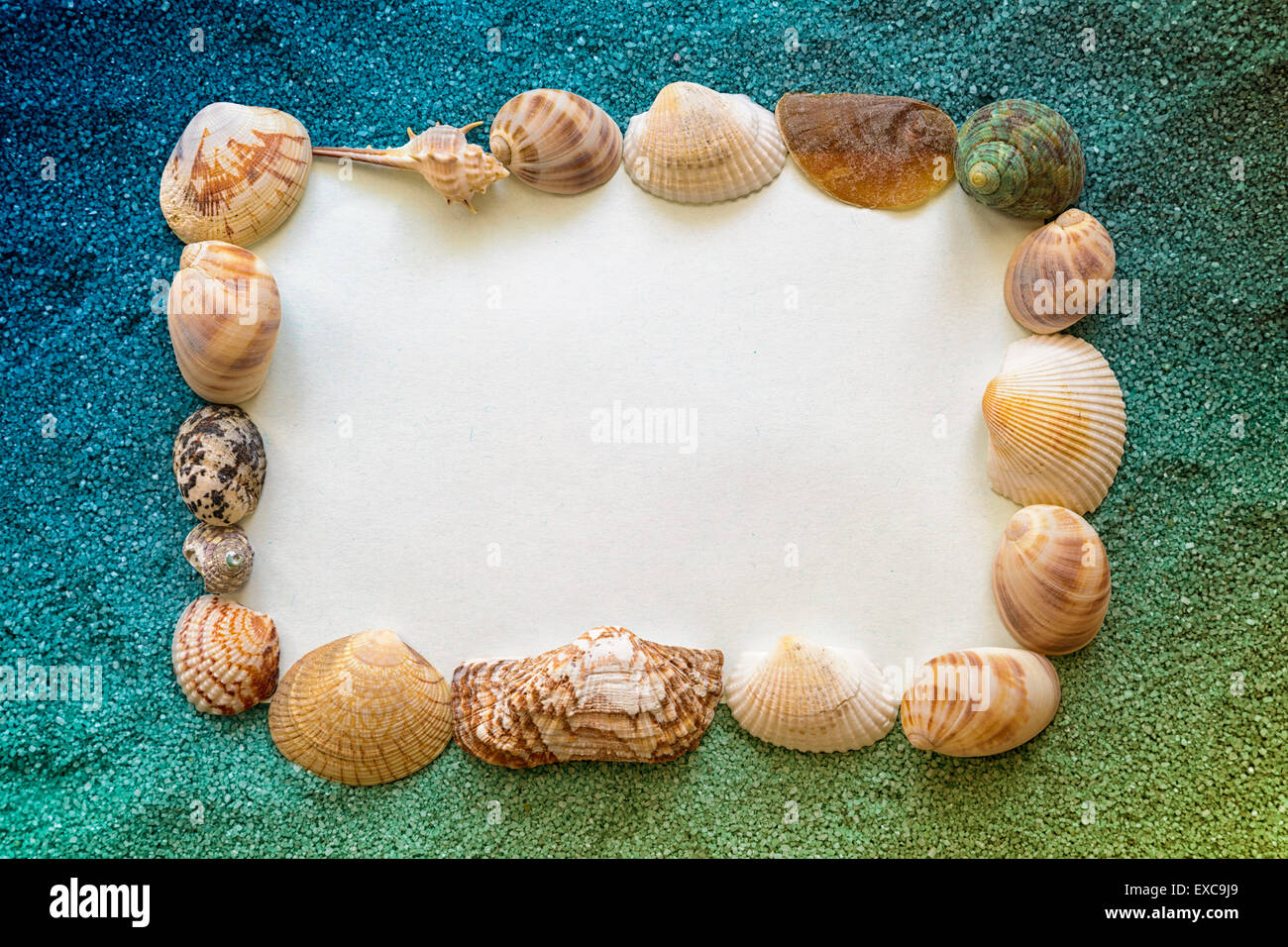 frame of shells on blue and green sand Stock Photo - Alamy