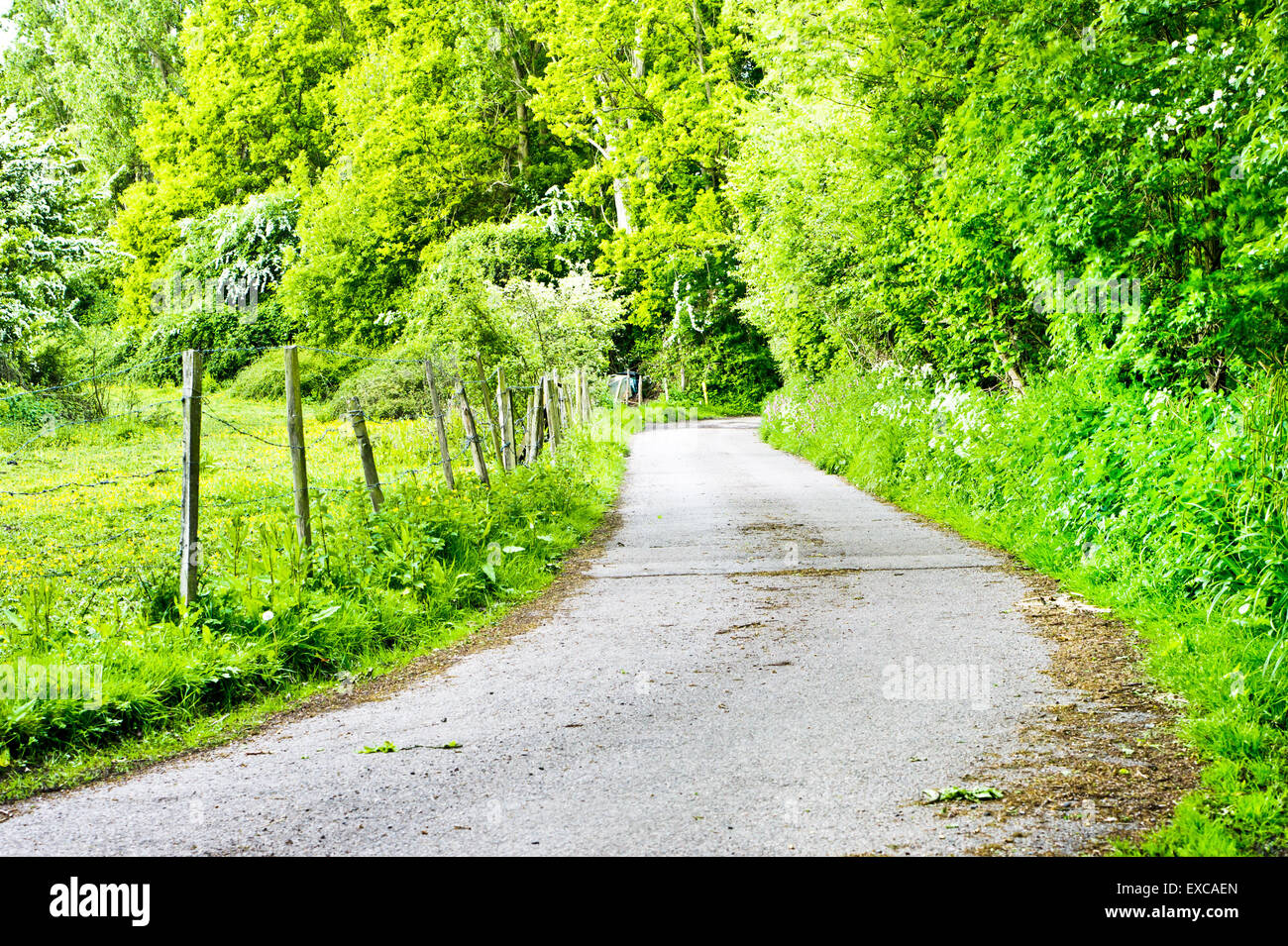 Doddinghurst hi-res stock photography and images - Alamy