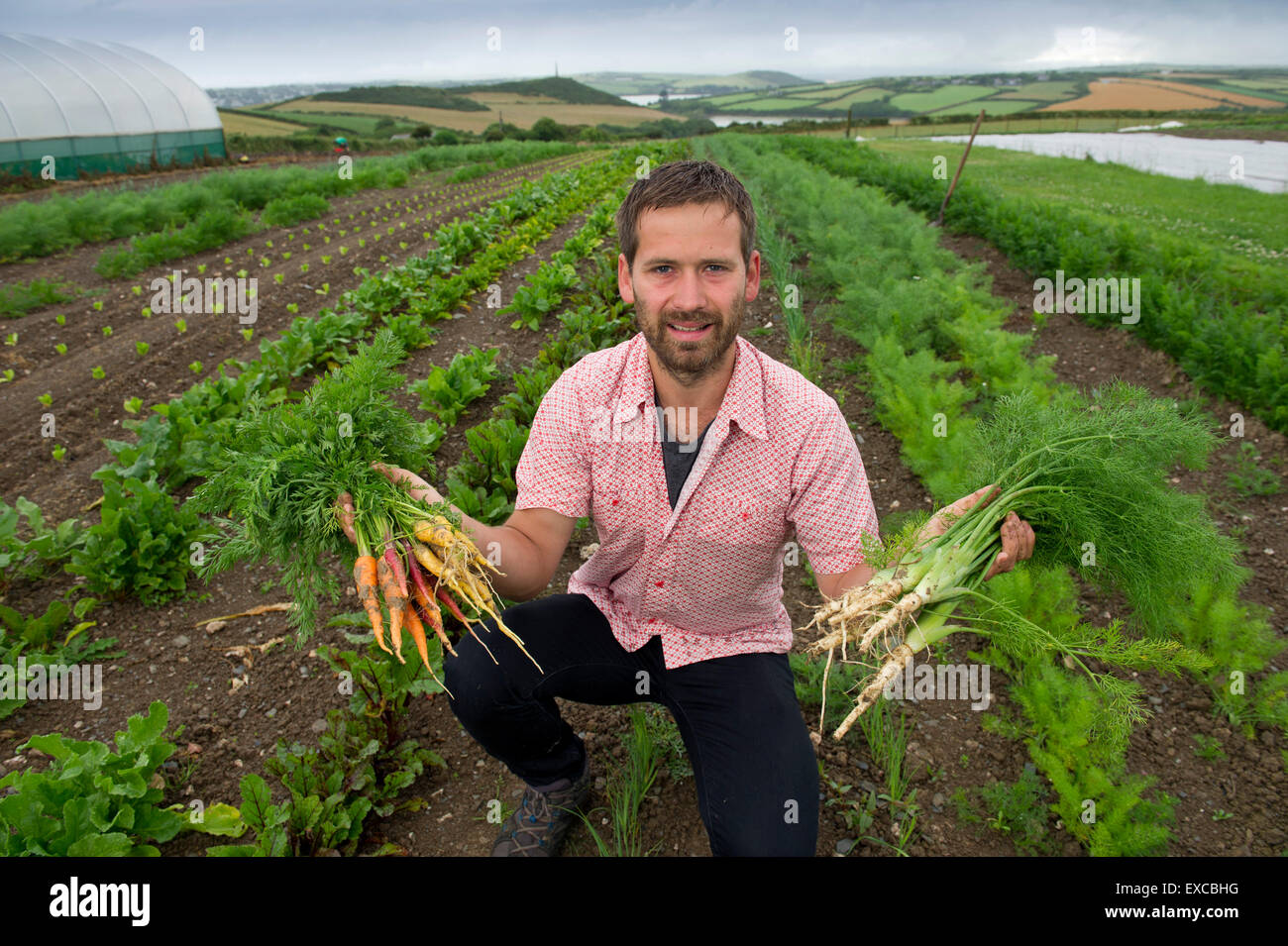 Padstow Kitchen Garden,owned by ex chef Ross Geach,where he grows ...